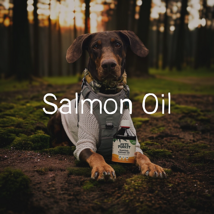 Natural Pet Products & Supplements | Pets Purest