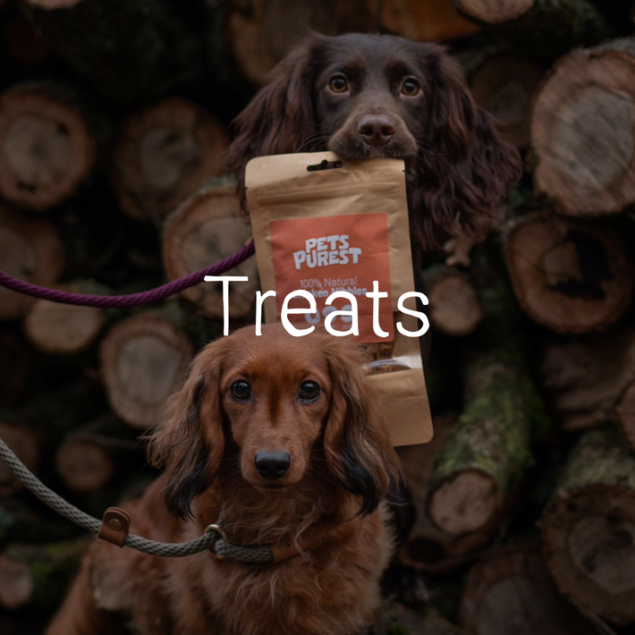 Natural Pet Products & Supplements | Pets Purest