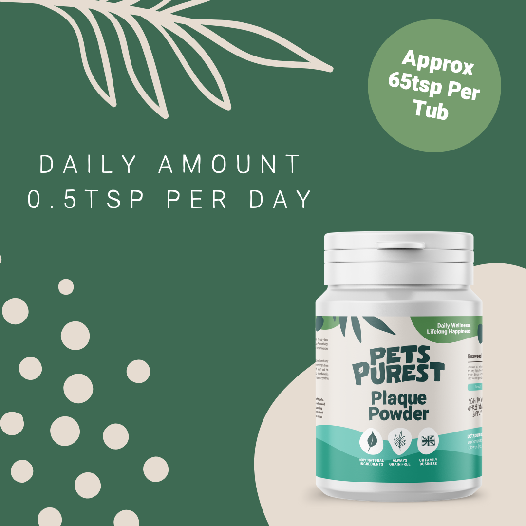 Plaque Off Powder Dogs, Cats & Pets | Pets Purest