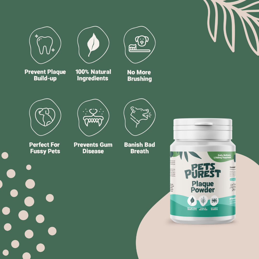 Plaque Removal Powder Dogs, Cats & Pets | Pets Purest