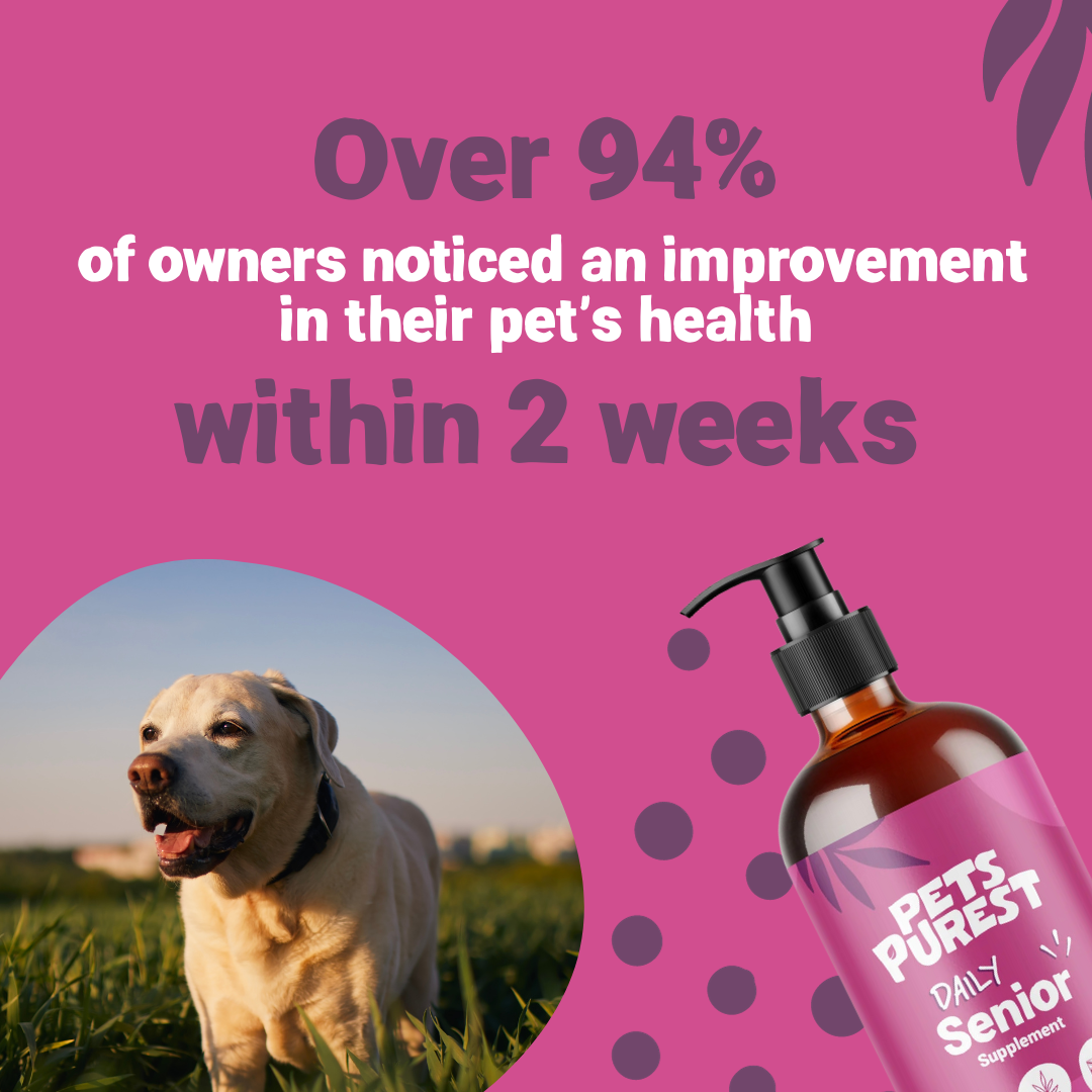 Daily Senior Supplement for Dogs & Cats | Pets Purest