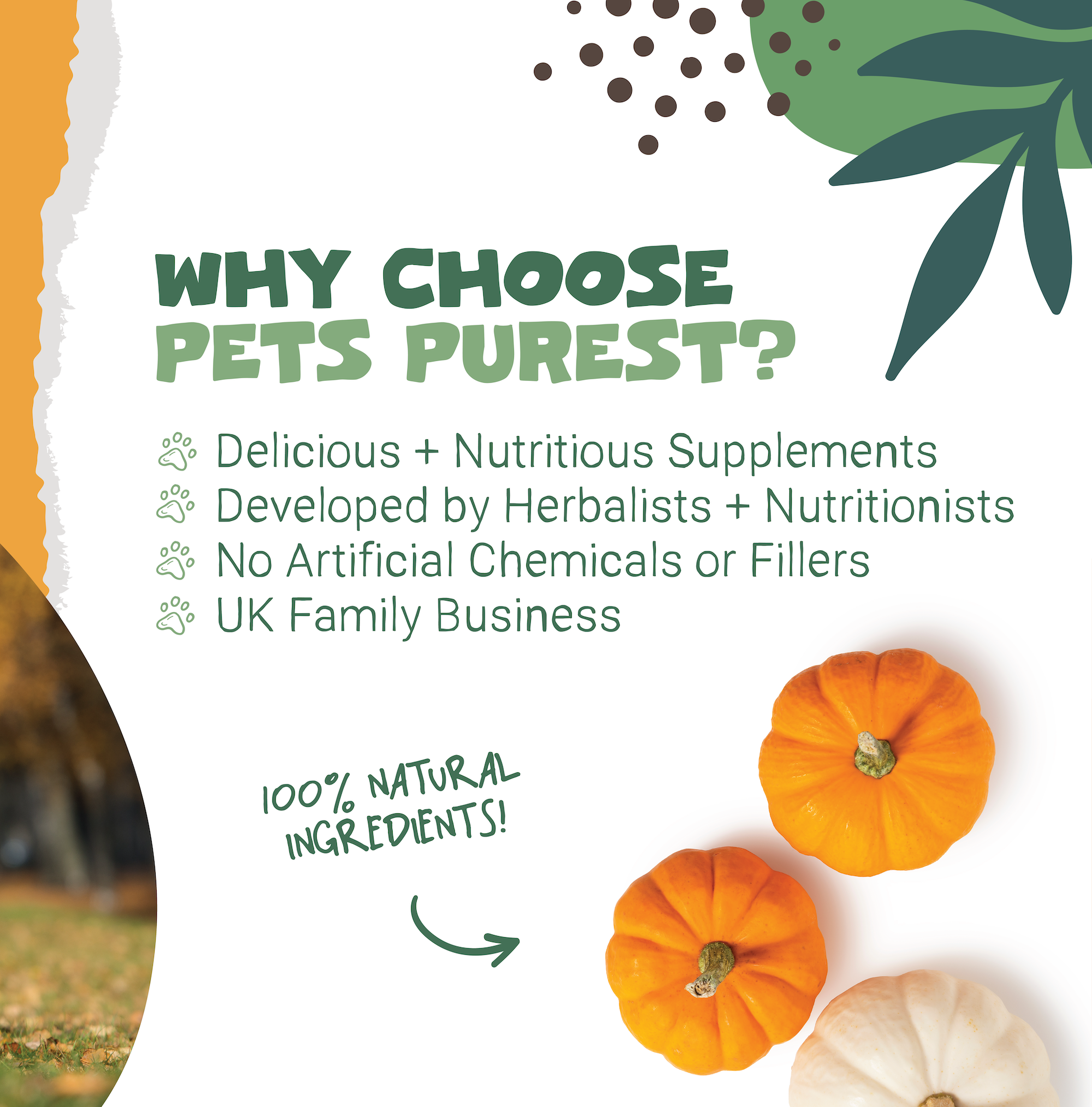 Pumpkin Powder for Dogs | 100% Natural | Pet Purest