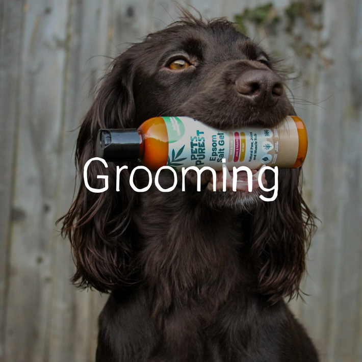 Natural Pet Products & Supplements | Pets Purest