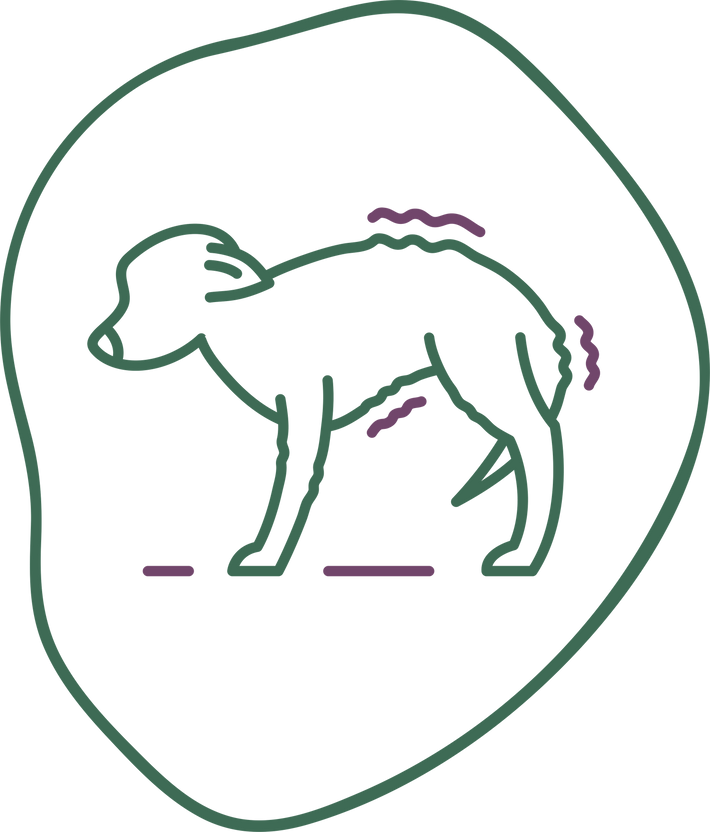 Calming Premium Treats | 100% Natural | 70g | Pets Purest