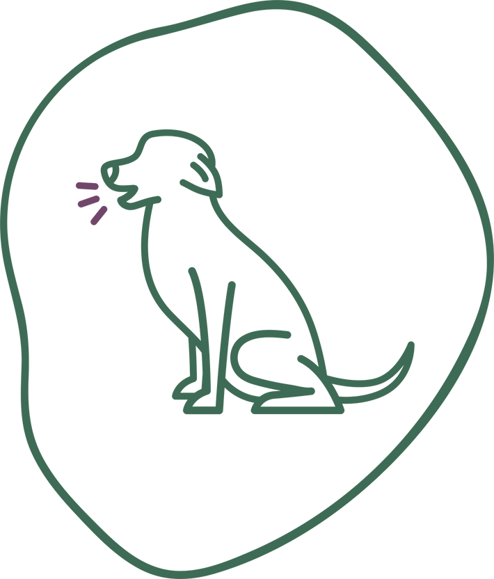 Calming Premium Treats | 100% Natural | 70g | Pets Purest