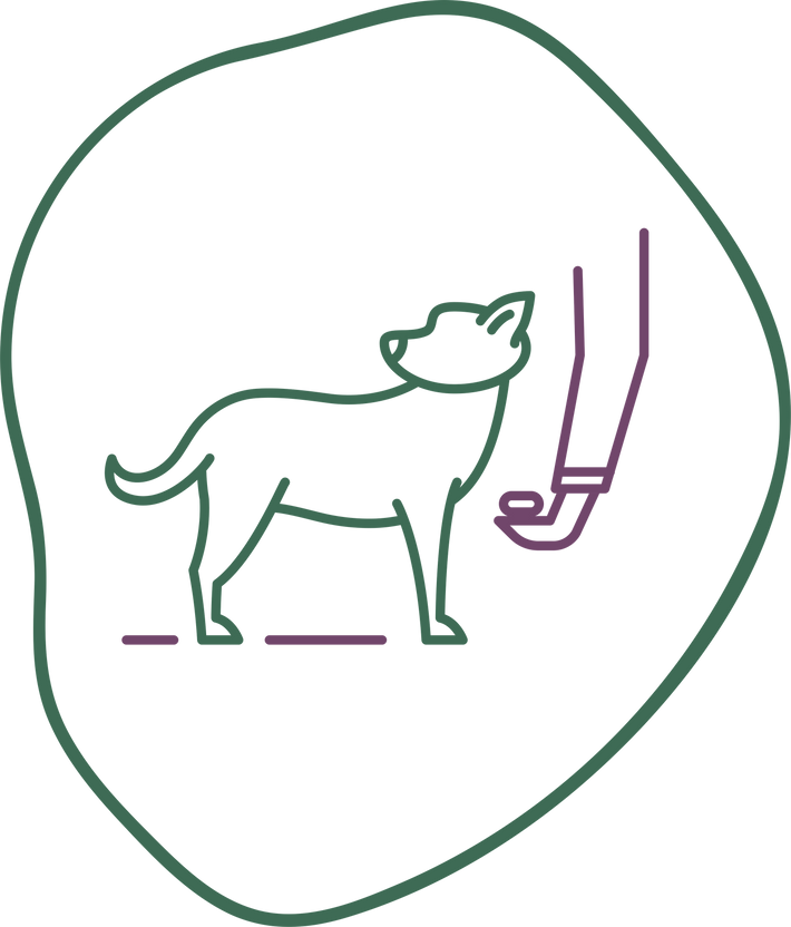 100% Beef Treats for Dogs | 100g | Pets Purest