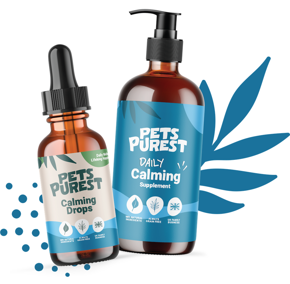 Calming Dog Treats | Calming Supplements for Dogs